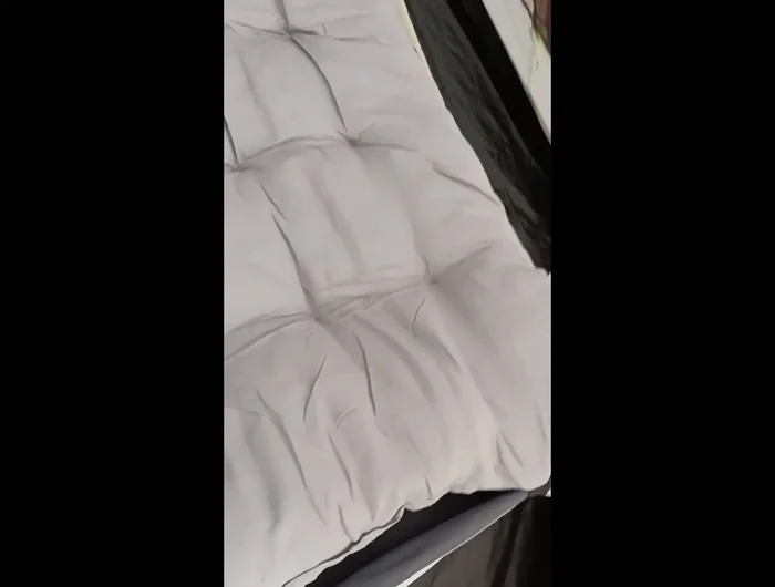 Temu Fold-Out Padded Camp Bed Review: Comfort, Ease of Use, and Value